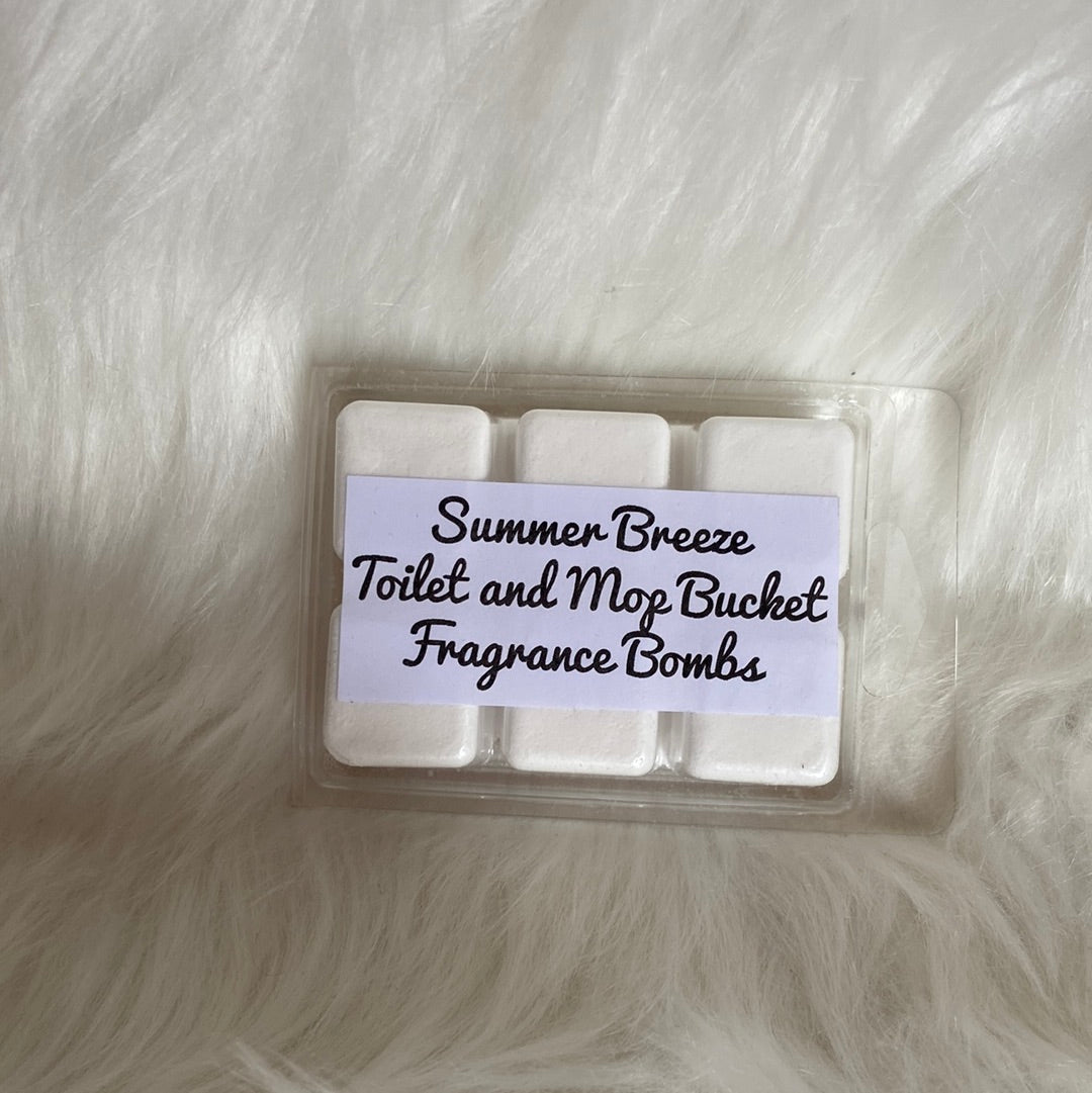 Fragranced Mop Bucket, Toilet and Sink Bombs – FizzyBeese